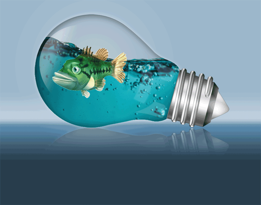 Ex2-Le poisson animé (2)